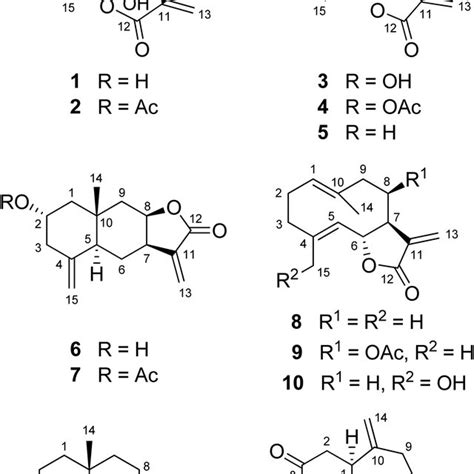 Chemical Structure Of Sesquiterpene Lactones Isolated From Zaluzania
