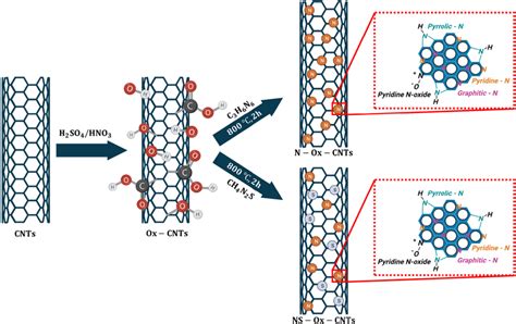 Schematic Representation Of Oxidation And Subsequent Heteroatom Doping