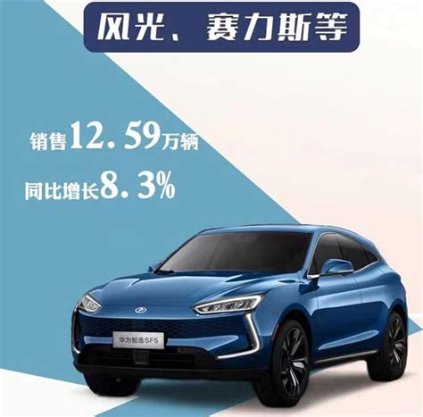 赛力斯造车“缘木求鱼”，小康张兴海“覆水难收”（下）