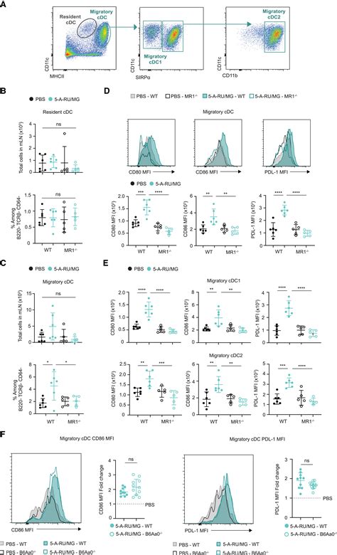 Mait Cells Activate Dendritic Cells To Promote Tfh Cell Differentiation