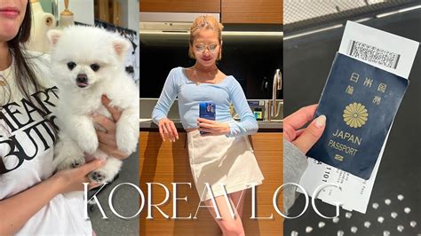 韓国vlog 半年ぶりの旅行🇰🇷買い物初めてのクリニック Vlog Vlogging Korea Fashion Youtube