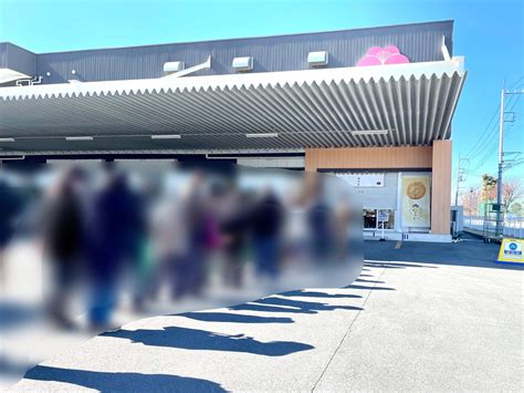 週3日間限定！熊谷の梅林堂工場直売所はアウトレット品が超お得！あの定番スイーツをget さいたまっぷる