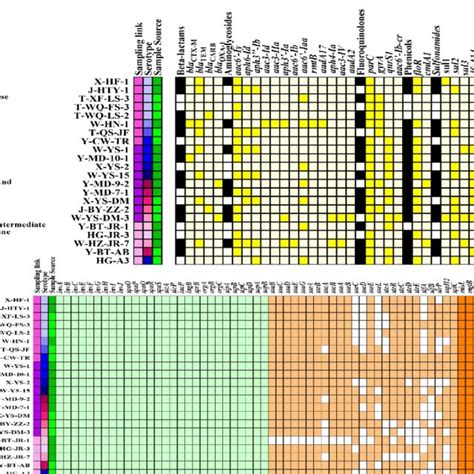 Distribution Of Resistance Genes A And Virulence Genes B Of 22