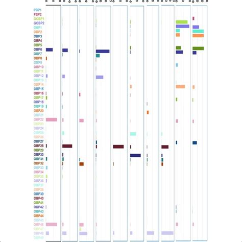 Expression Patterns Of Candidate Dendrolimus Punctatus Odorant