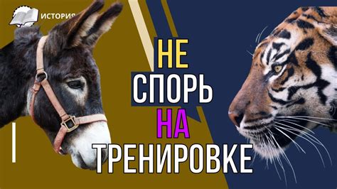 Секрет на тренировке: как избежать споров и достичь максимальных ...
