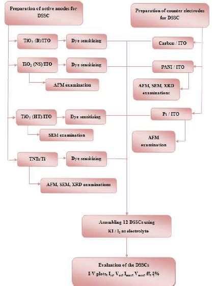 The Flow Diagram Of All Experimental Procedures Download Scientific Diagram