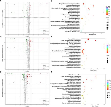 Frontiers Integrated Morphological Metabolome And Transcriptome