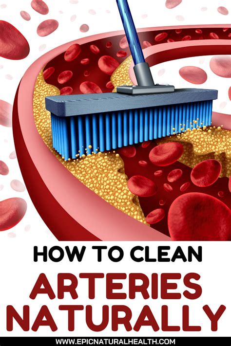 How To Clean Arteries And Remove Bad Cholesterol Naturally Epic