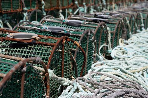 Premium Photo Pots Bait Fishing And Catching Gear Fishing Concept