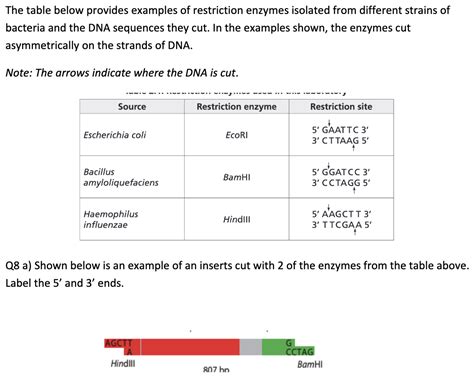 Solved The Table Below Provides Examples Of Restriction