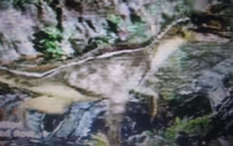 Jurassic Park 3 Area Ceratosaurus Enters The Park Jurassic Park