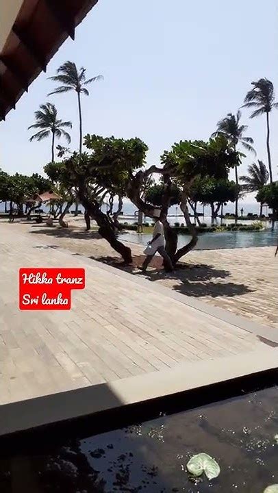 Travel Sri Lanka🧚‍♂️🥰ලංකාවේ සුපිරි හෝටල් Youtube