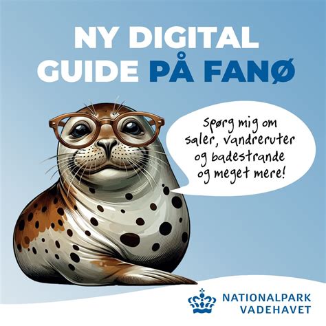 Oops Something Went Wrong Torben Seebach