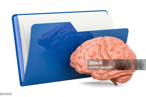 인간의 뇌 3 차원 렌더링에 고립 된 흰색 배경으로 컴퓨터 폴더 아이콘 3차원 형태에 대한 스톡 사진 및 기타 이미지 3차원