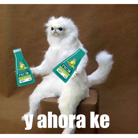 Sticker Maker Inecto