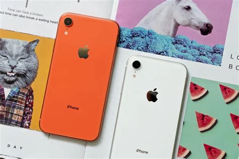 Harga Dan Spesifikasi Iphone Xr Di Tahun 2022 Masih Worth It Dibeli
