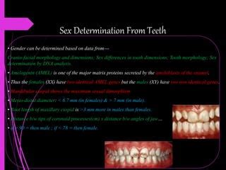 Forensic Odontology Ppt PPTX Dental Health Diseases And Conditions