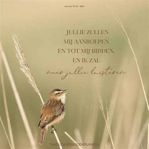 Ongewenst Gedrag Artofit