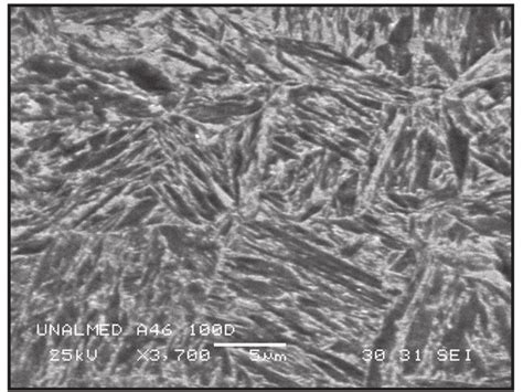Martensitic Microstructure Of Mil A46100 Steel Sem Micrograph 3700x
