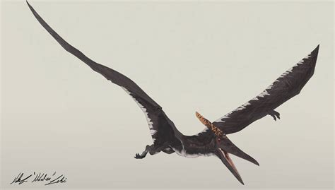 Jurassic Park Pteranodon Alpha By Nikorex On Deviantart
