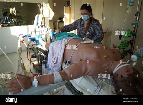 Training Of Medical Interns In The ECMO Technique Extracorporeal Membrane Oxygenation Stock