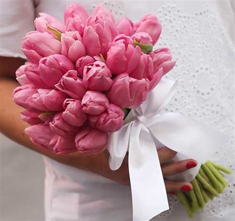 Introduzir 69 Imagem Buque De Tulipa Rosa Br Thptnganamst Edu Vn