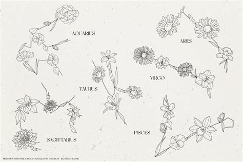 Birth Month Zodiac Constellations Masterbundles