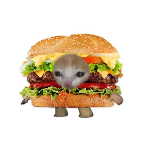 Silly Cats With Hamburger