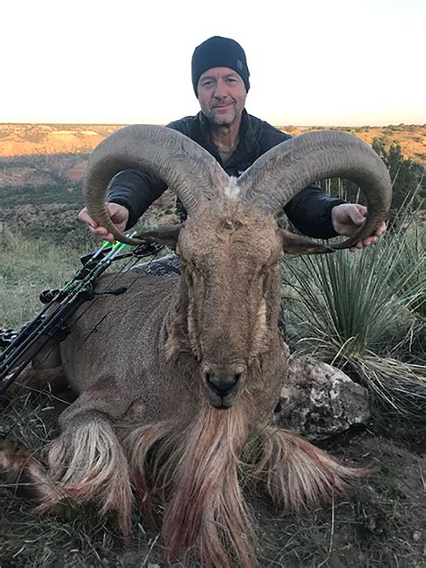 Ext2 Texas Free Range Aoudad