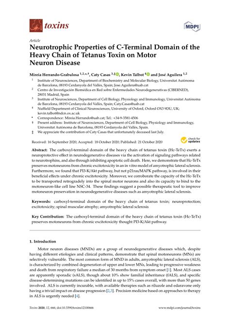 Pdf Neurotrophic Properties Of C Terminal Domain Of The Heavy Chain Of Tetanus Toxin On Motor