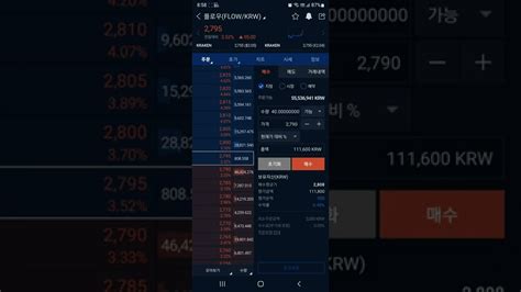 플로우 코인 Flow Coin 마틴게일 베팅법으로 물을 타다 Youtube
