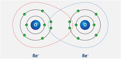 Octet Rule And Its Exceptions Quiz Quiz Flashcards And Trivia