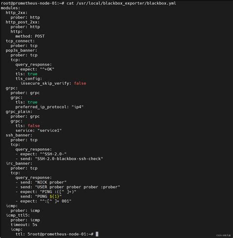 Prometheus监控案例之blackbox exporter blackbox exporter CSDN博客
