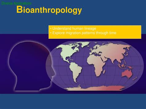 Ppt Beyond The Human Genome Project Powerpoint Presentation Free