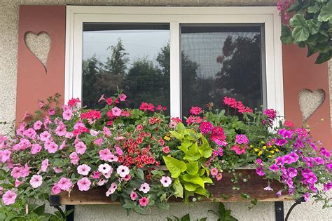 Planter Box Design Strategies Gardening With Sharon