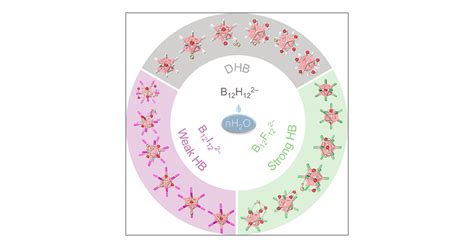 Highly Structured Water Networks In Microhydrated Dodecaborate Clusters The Journal Of