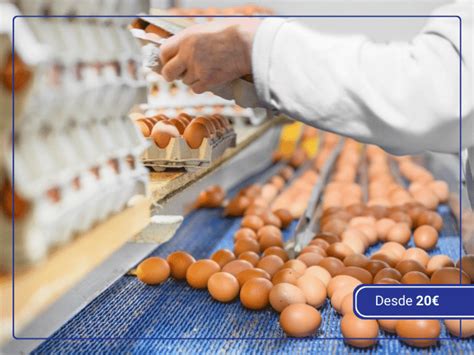 Curso APPCC Implantación y gestión Escuela Alimentaria