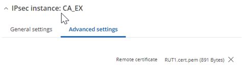 Filerut2 Ipsec Instance Advanced Settings Configurationpng