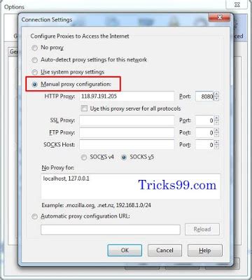 Show Dhcp Ipv Proxy Binding