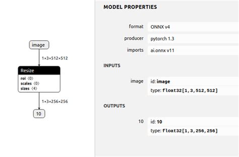 ONNX MNN Resize Operation Outputs Extra Dimension Issue Alibaba MNN GitHub