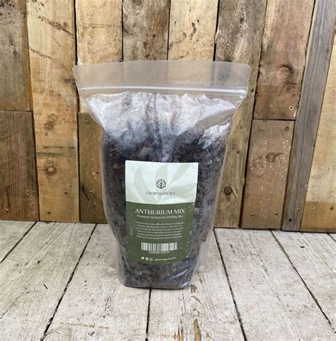 Anthurium Houseplant Mix N1 Garden Centre N1gc