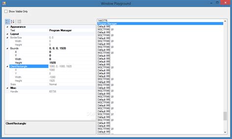 Window Playground Download Free Windows 1000 Softpedia