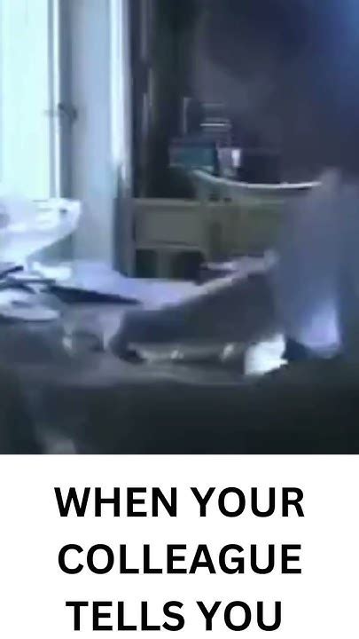 When Your Fellow Developer Colleague Tells You Shorts Developerslife Office Officelife