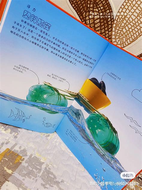拥有dk Stem，孩子收获不是25是更多 知乎