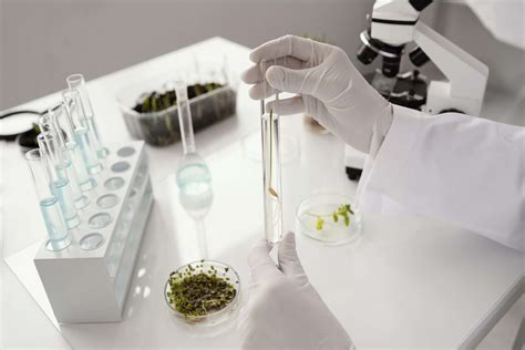 New Study Finds THC Potency Does Not Match Label