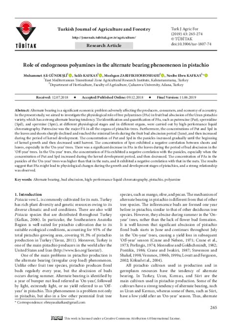 Pdf The Role Of Free Polyamines In The Alternate Bearing Of Pistachio Pistacia Vera Cv