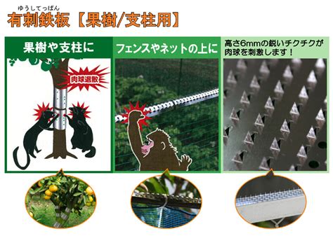 有刺鉄板でサルやアライグマを撃退します！