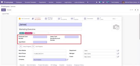 WPS Report Creation FOR UAE Open HRMS Book V 15