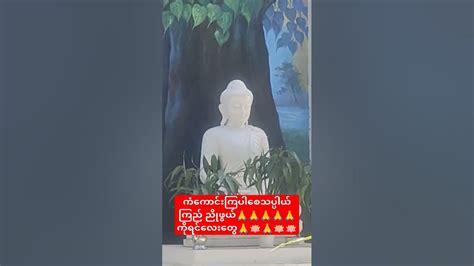 ကံကောင်းကြပါစေသပ္ပါယ်ကြည် ညိုဖွယ်🙏🙏🙏🙏🙏ကိုရင်လေးတွေ🙏🪷🙏🪷🪷 Buddhatemple