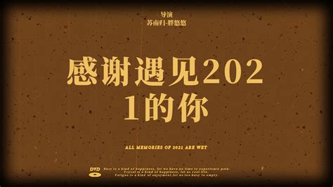 我把我的2021做成了影片！感谢遇见2021的你正式上映！哔哩哔哩bilibili